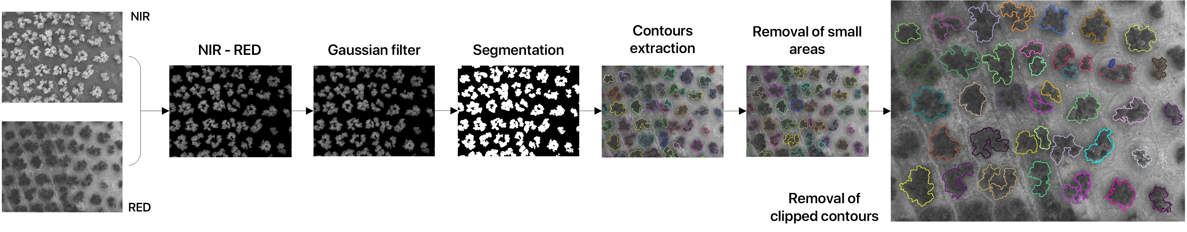Multispectral Registration, Undistortion and Tree Detection for ...