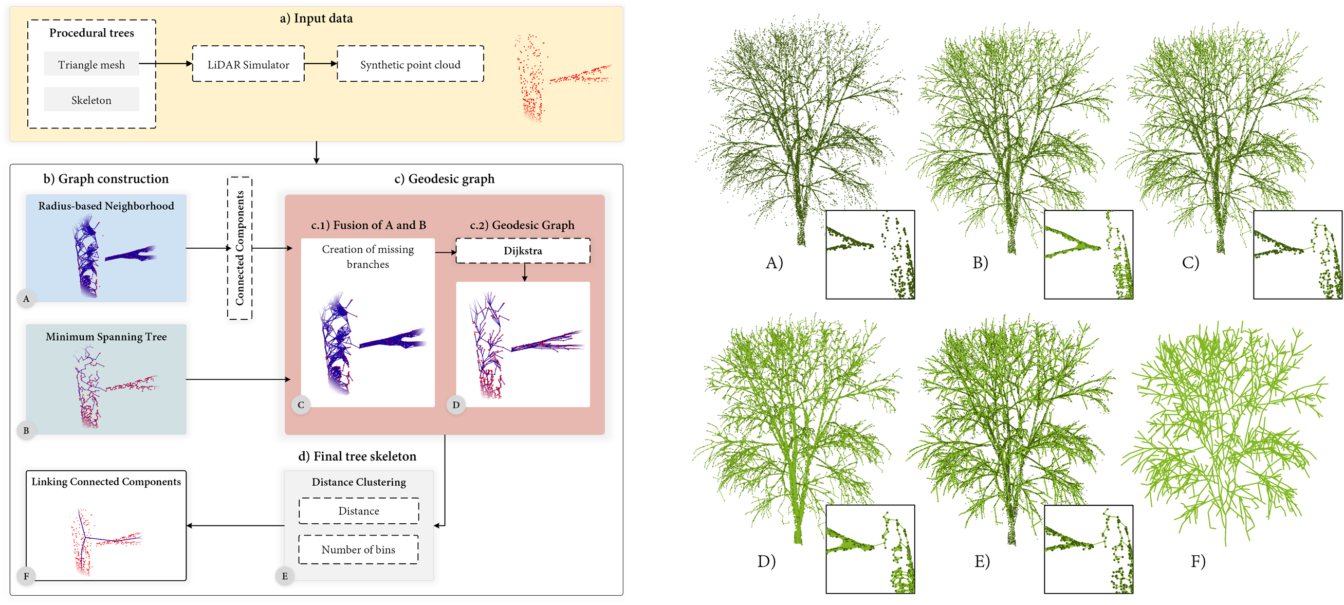 Reconstruction of tree branching structures from UAV-LiDAR data ...